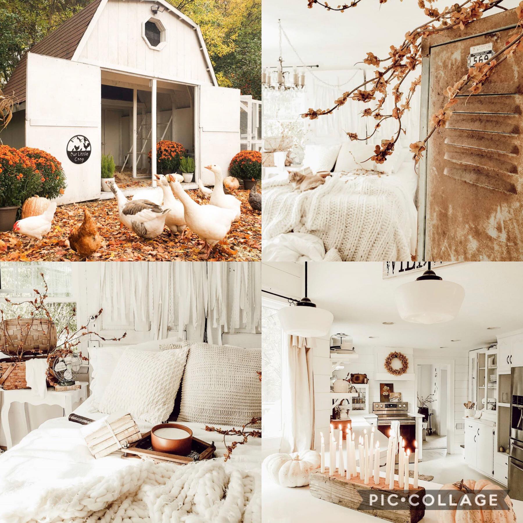 10 Instagram Accounts You Need To Follow for Fall Inspiration